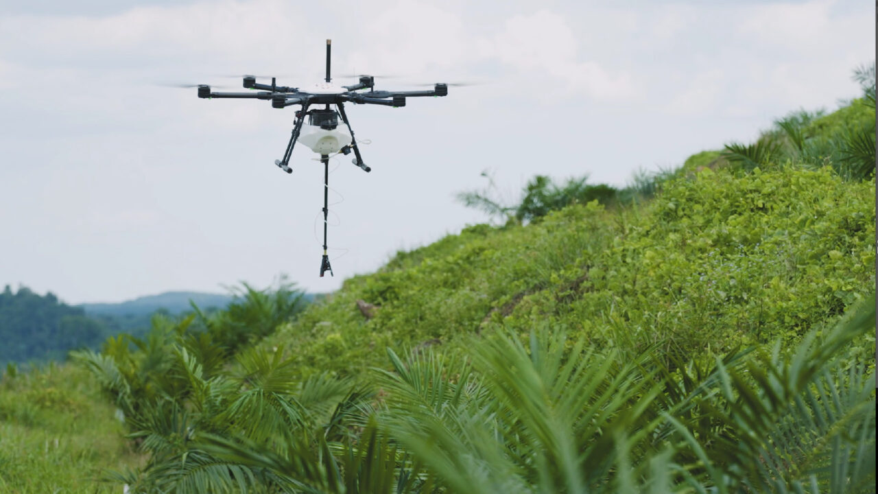 NHỮNG LOẠI CÂY CÔNG NGHIỆP ỨNG DỤNG DRONE PHỔ BIẾN – Aonic Vietnam